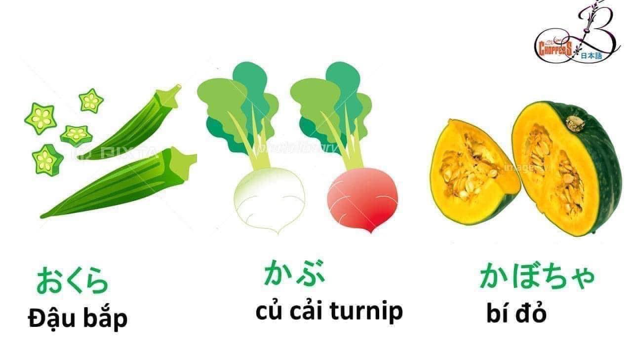 Từ vựng tiếng Nhật về các loại Rau Củ Quả